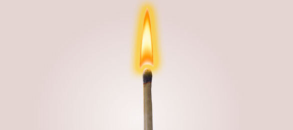 Locals-chibrit - Locals