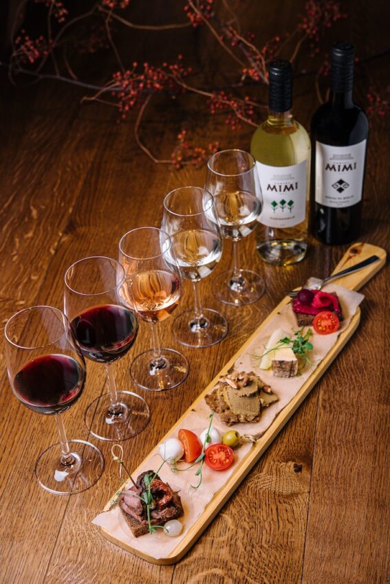 Castel Mimi – noua legendă a vinificației și turismului Republicii ...