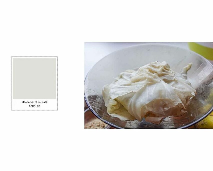 Mahala Magazine7 - Locals