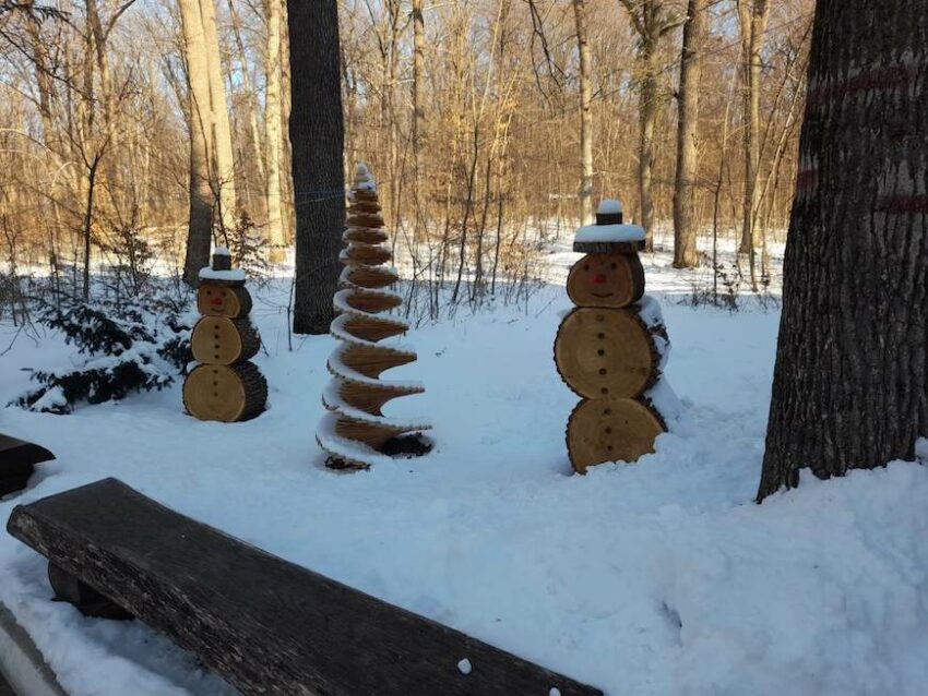 Природный заповедник Plaiul Fagului приглашает на лесные прогулки - Locals